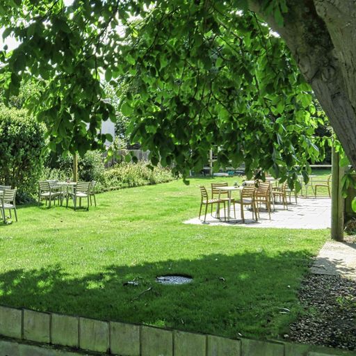 Extraordinary Hare West Hendred